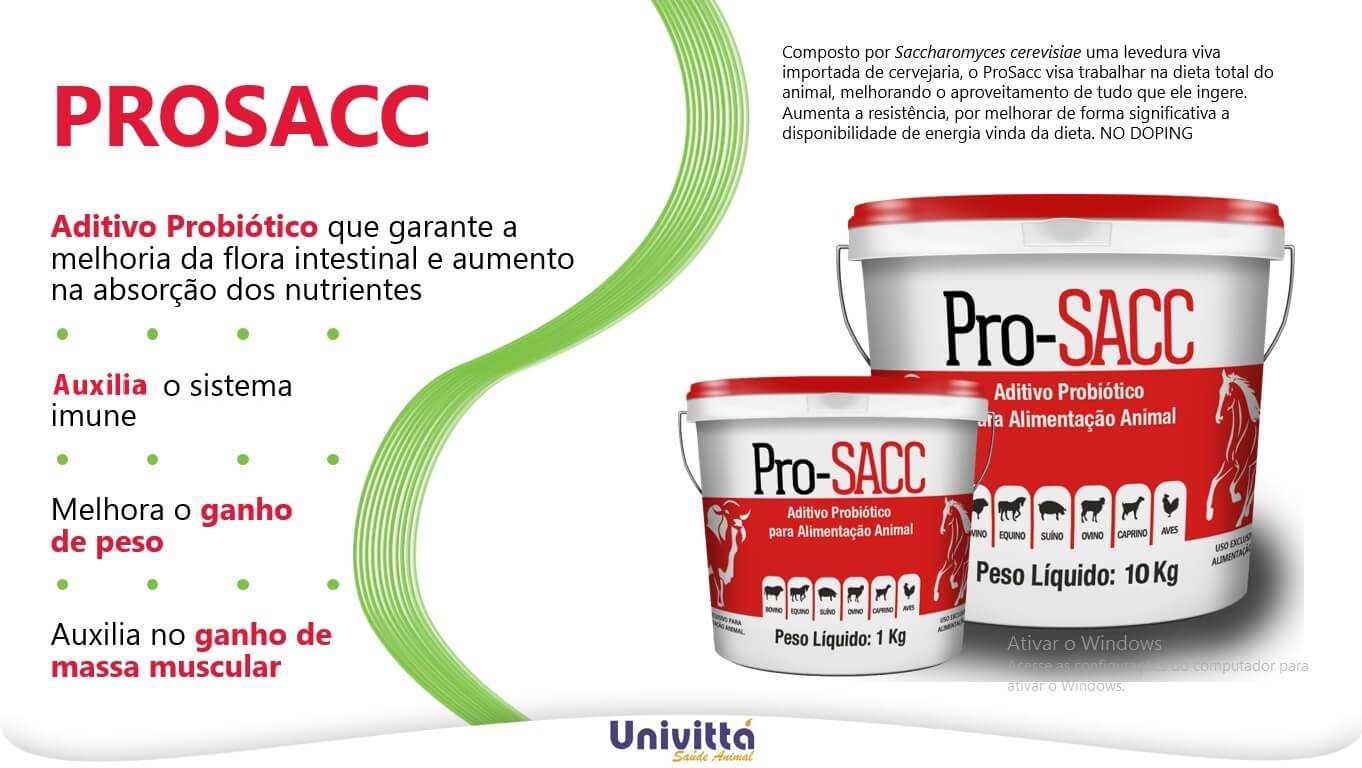 Suplemento probiótico para equinos, bovinos, ovinos e caprinos - Prosacc